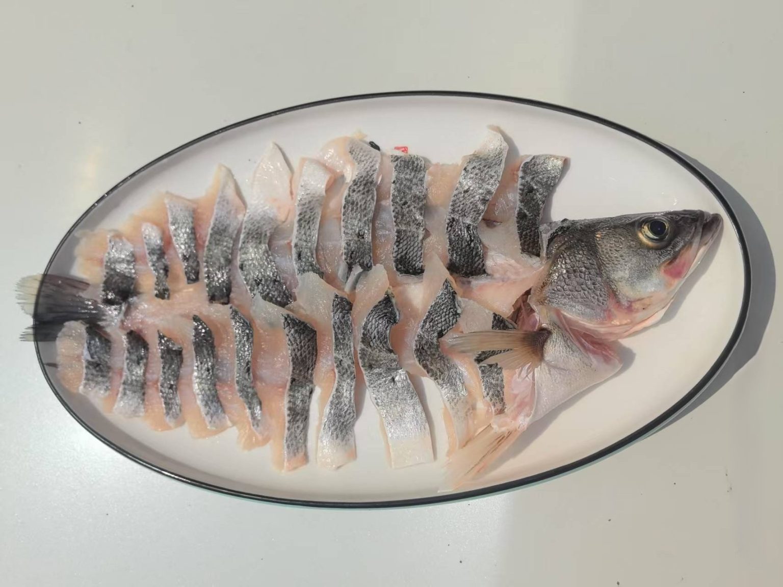 Brackish Water Fish Archives - Zhuhai Chenghuifeng Agricultural Science ...